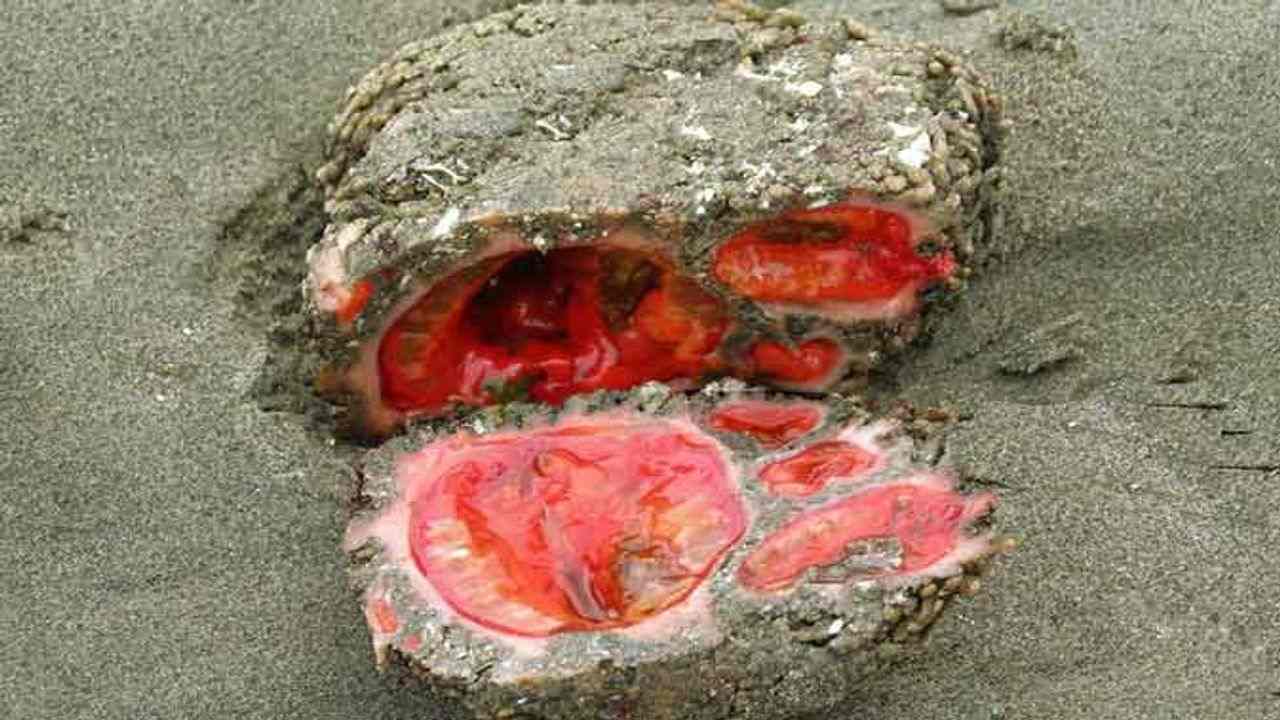 અજબ- ગજબ : એક એવો પથ્થર જે તુટતા નીકળે લોહી, માણસની જેમ થાય છે દર્દ ...