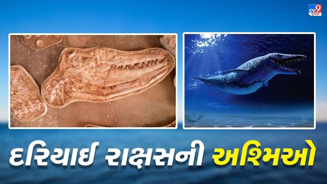 આ દરિયાઈ રાક્ષસનું દરિયા પર રાજ હતુ કરોડો વર્ષો પહેલા, અશ્મિઓ પરથી ...