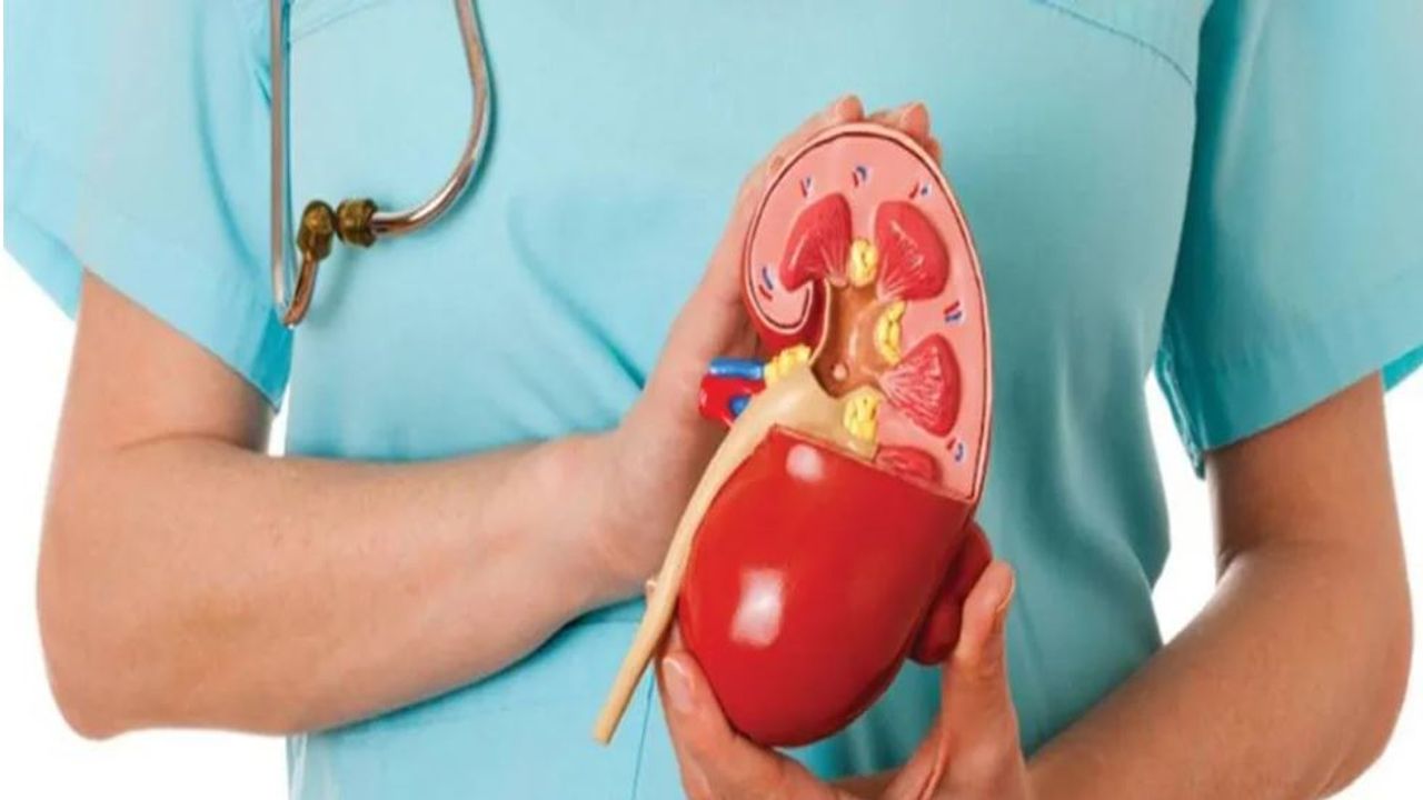 Stone Problem: આ વસ્તુઓ પથરીની સાઈઝને વધતી અટકાવે છે, આજે જ ટ્રાય કરો ...