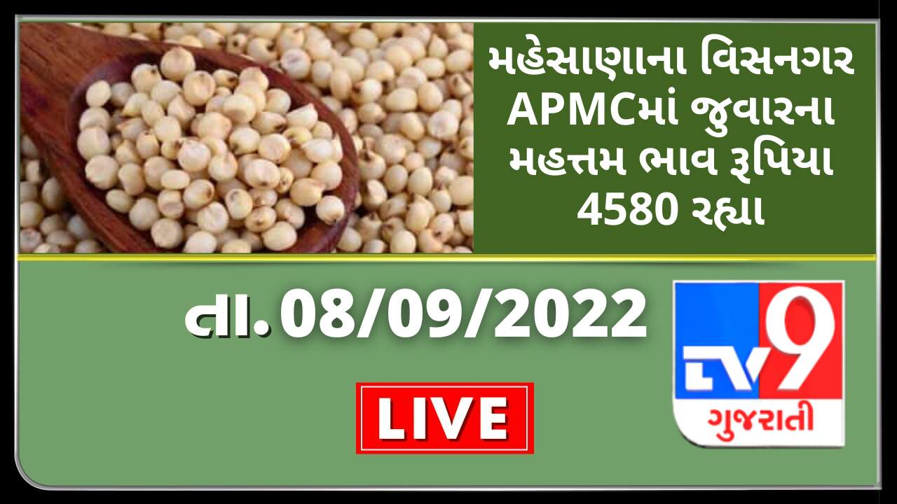 Mandi: મહેસાણાના વિસનગર APMCમાં જુવારના મહત્તમ ભાવ રૂપિયા 4580 રહ્યા ...
